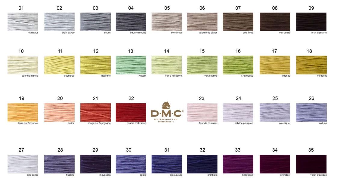 Pasje odnalezione: Nowe kolory w palecie DMC