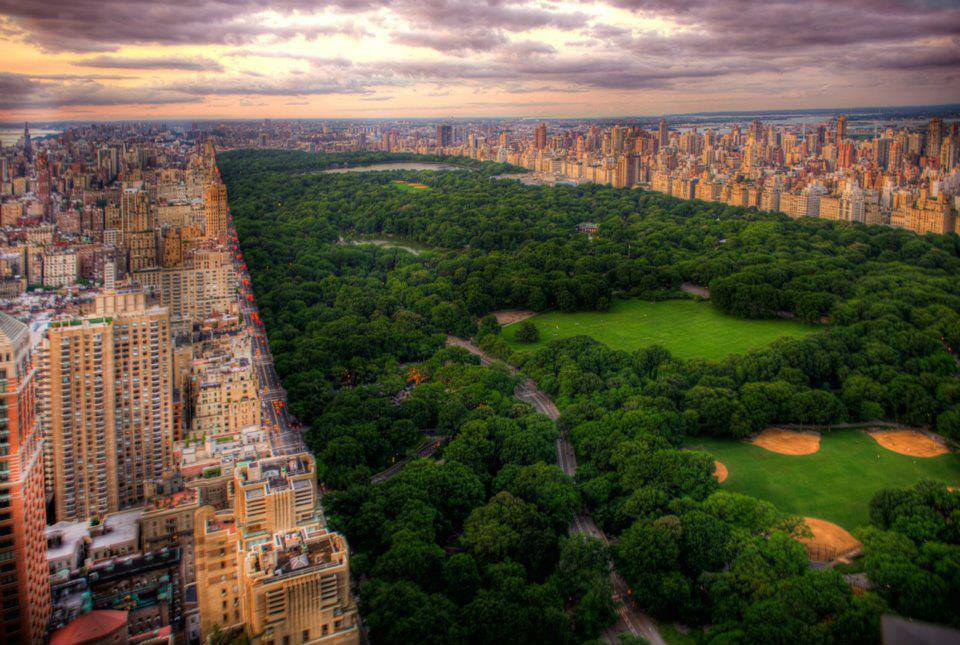Random Musings: Central Park NYC, Vibrant Shot