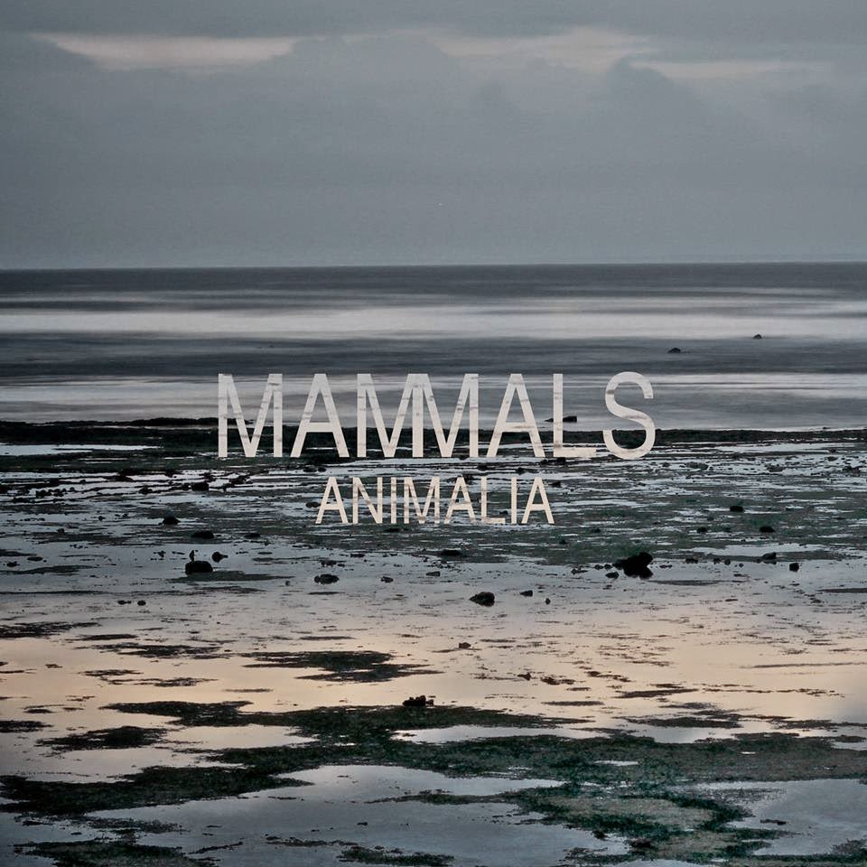 Indie Obsessive: “Wolf” by Mammals – A Song Review