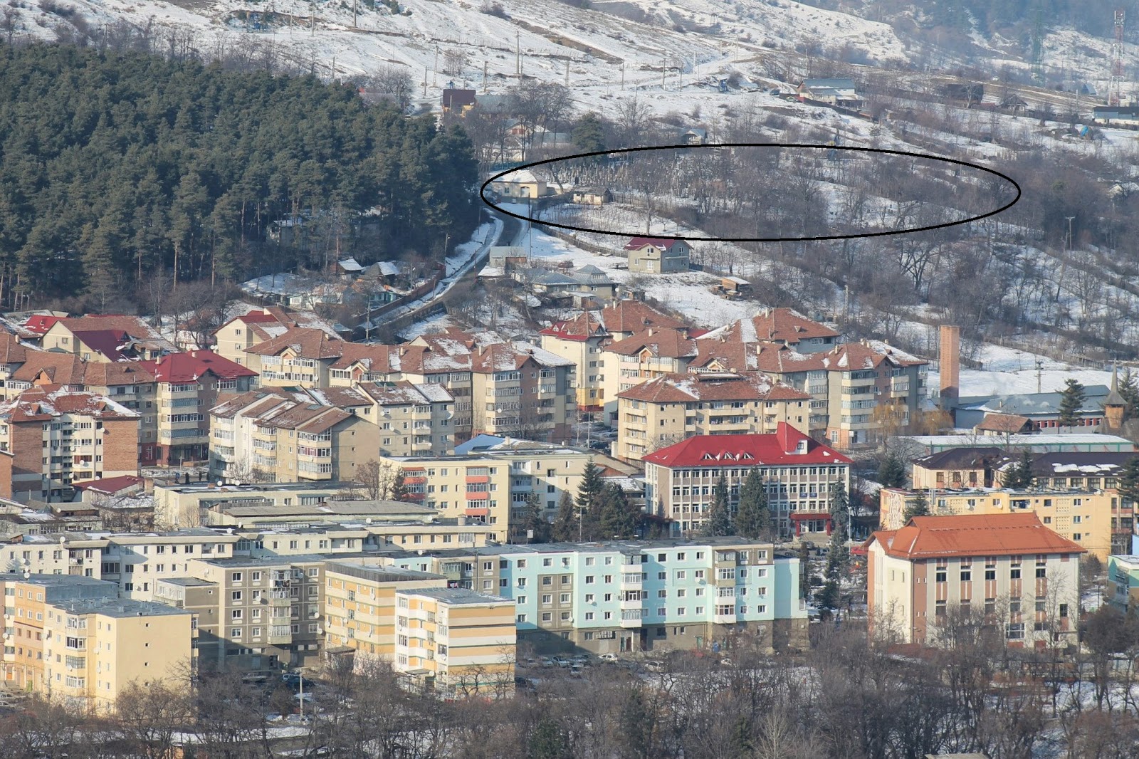 L E O L A M - The Jewish Heritage Foundation - Moinesti: Moinesti ...