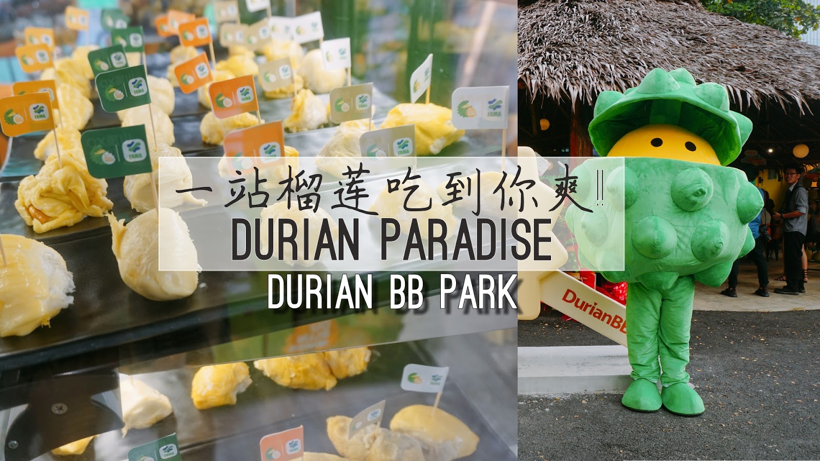 Durian Party at DurianBB Park, Kuala Lumpur | Snowman · Sharing