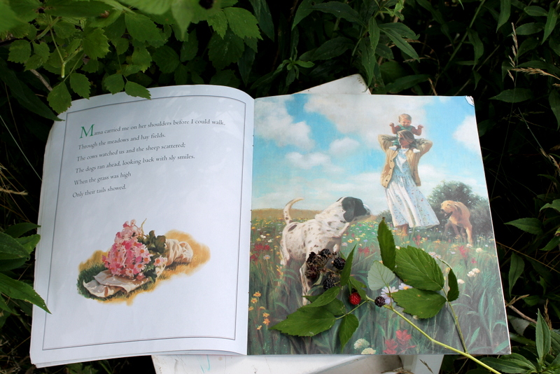 Books and Umbrellas: All the Places to Love by Patricia Maclachlan ...