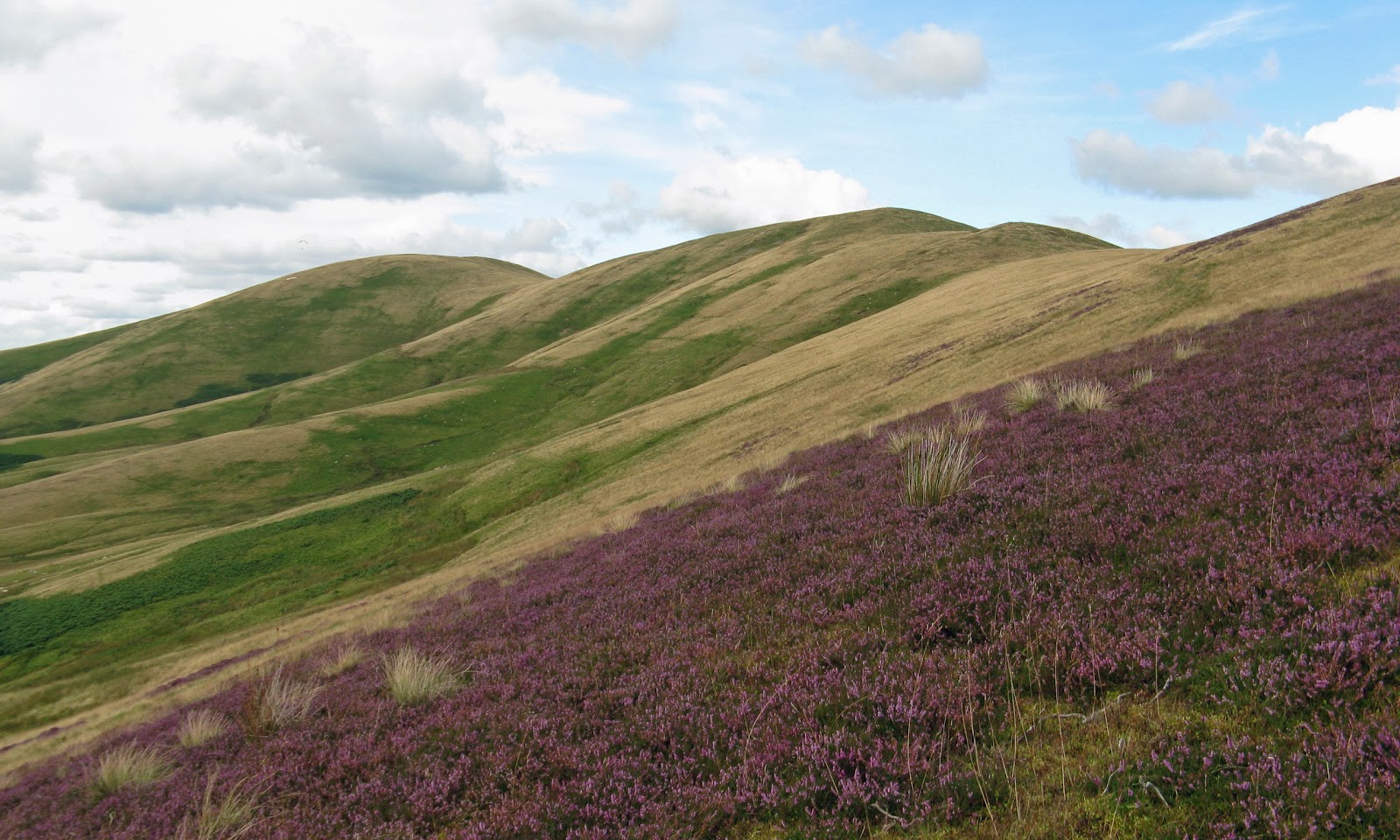 Neil's Hillwalking Exploits: Broughton Heights