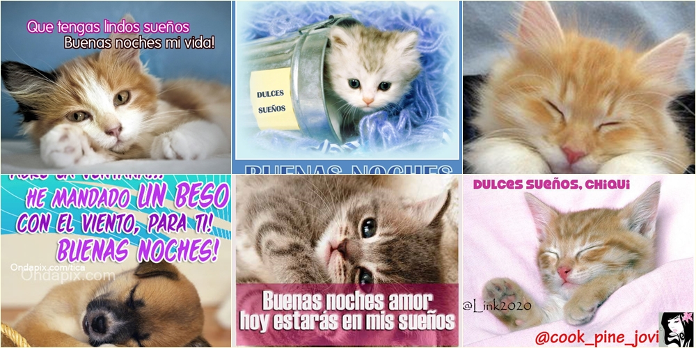 “Descansa bien, amor de mis amores; solo tuyo es mi corazón, y solo mío ...