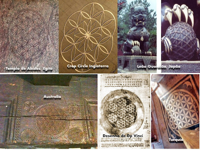 Arca de Ouro: A Flor da Vida e a Geometria Sagrada