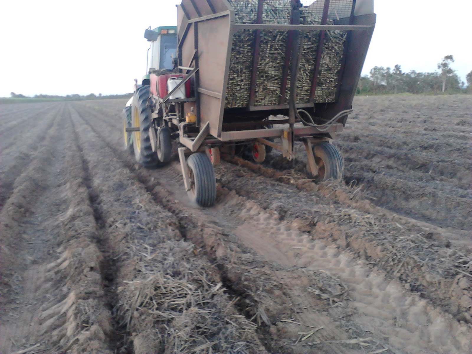 Sweet As!: Minimum Till Cane Planting.