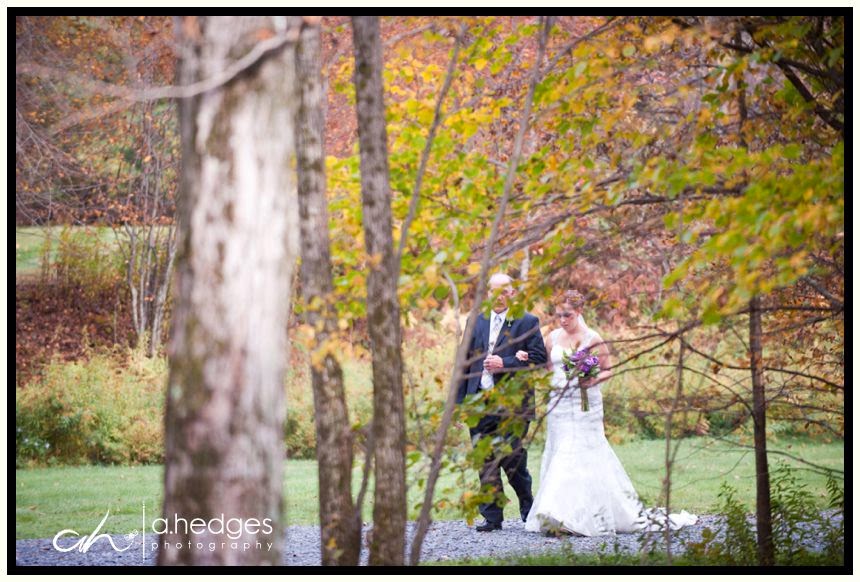 A. Hedges Photography