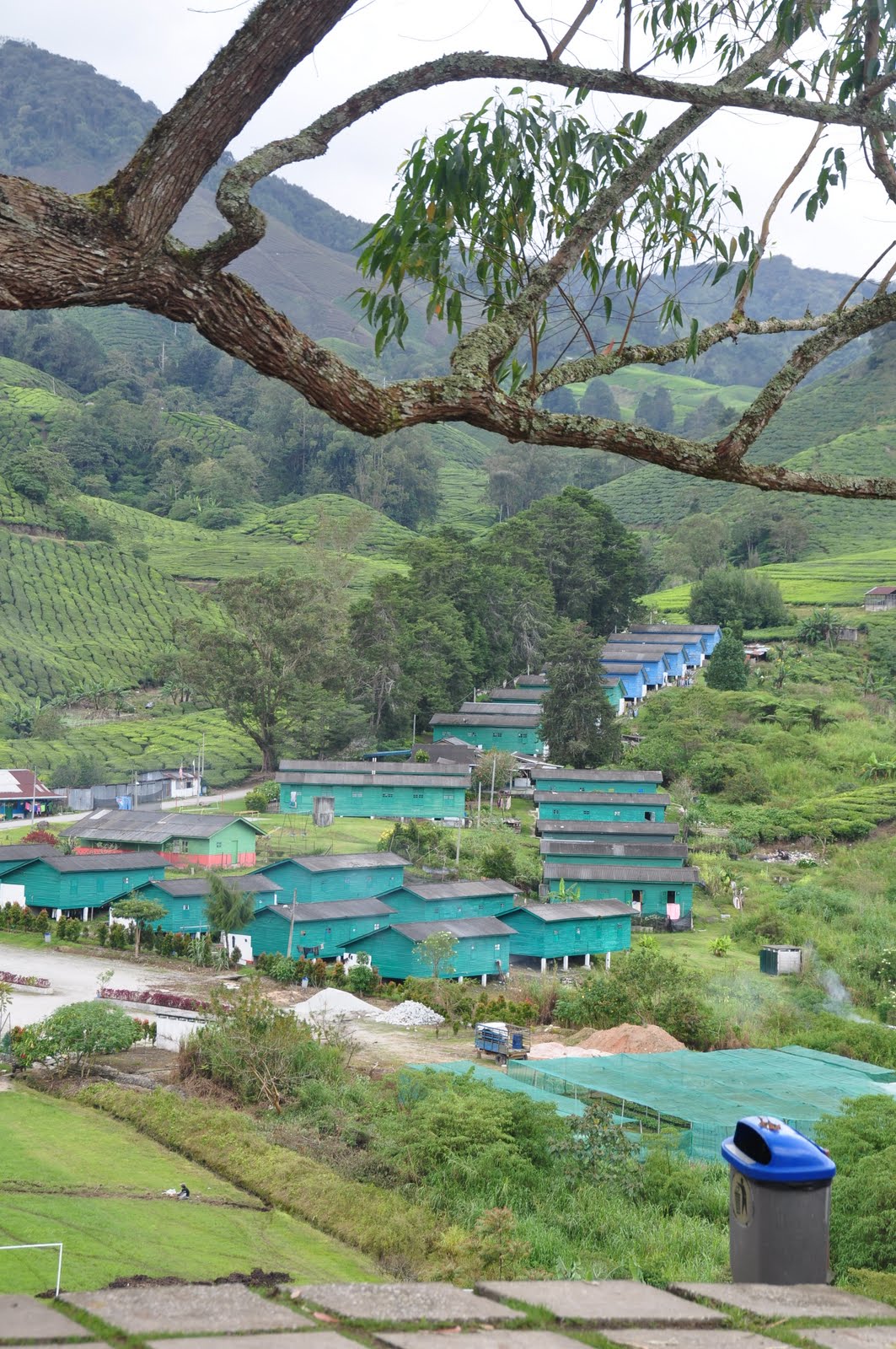 mrkumai.blogspot.com: Tips Melancong ke Cameron Highlands... Kea Farm ...