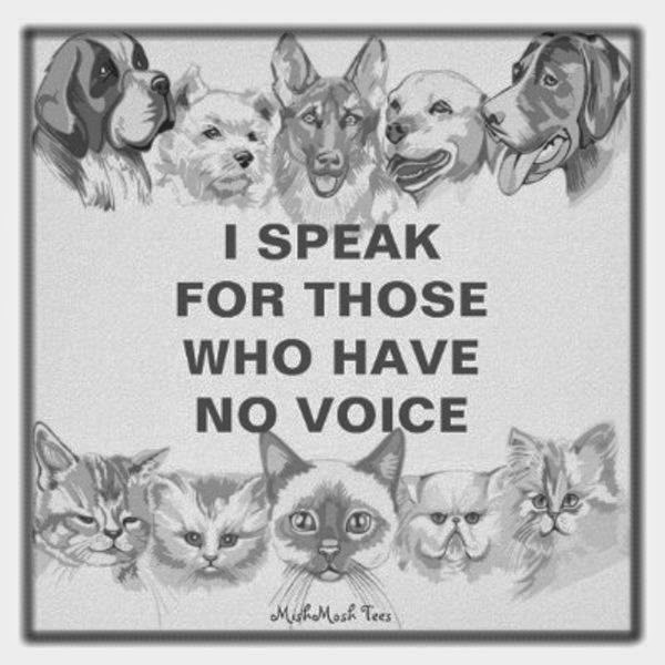Of Animal Love: Be the Voice of the Voiceless. Rescue Stray Animals