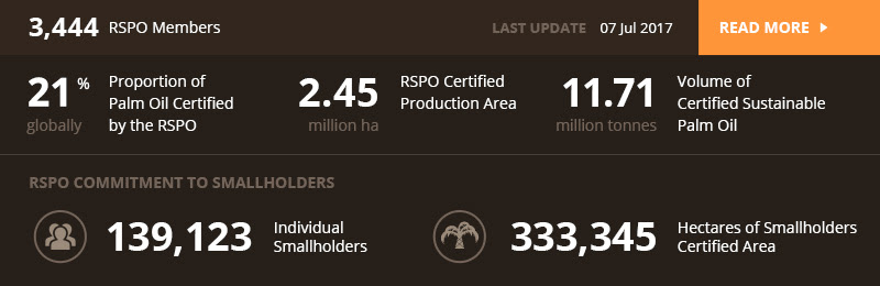 YES to organic & RSPO-IP or RSPO-SG palm oils: RSPO are positive ...