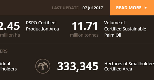 YES to organic & RSPO-IP or RSPO-SG palm oils: RSPO are positive ...