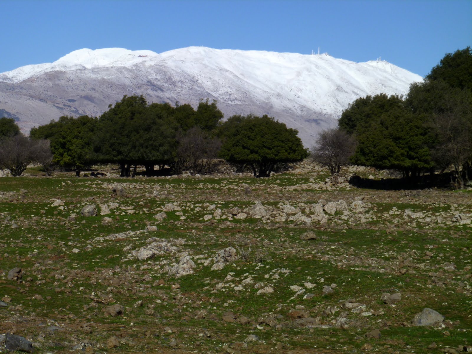 Aliyah by new Converts: Some photos of Eretz Israel