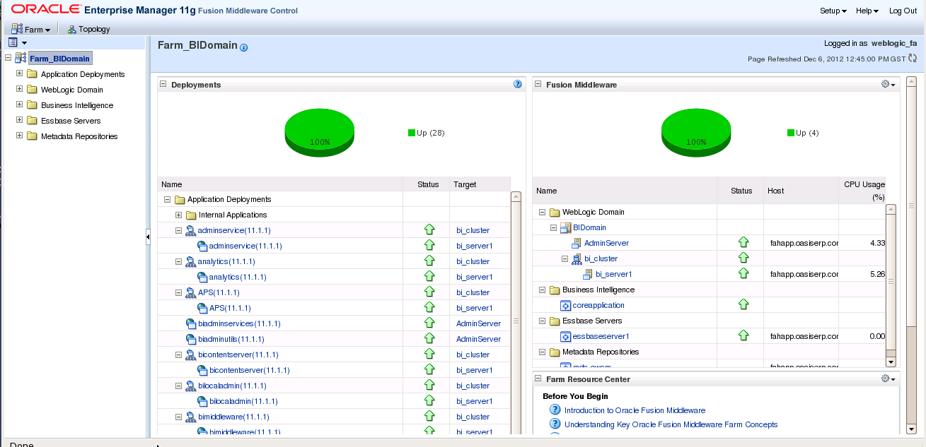 Oracle Fusion Applications: Loading RPD File in Fusion Applications