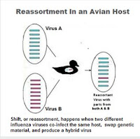 Avian Flu Diary: OIE Notification: H5N5 In Wild Birds In Poland