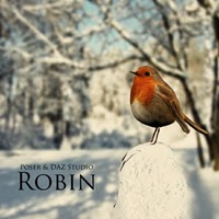 Digital Creations - Poser and DAZ Studio content: FREE Robin prop for ...