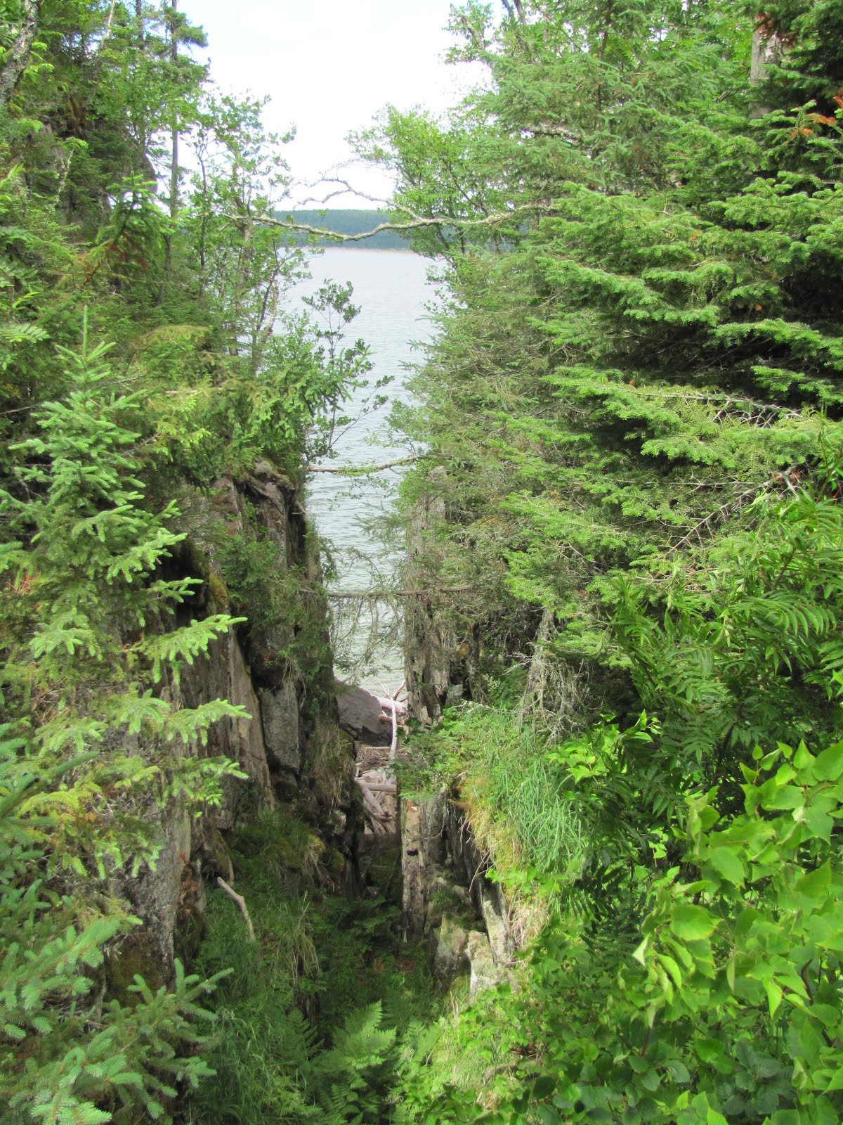 Cruising on M/V Monarch