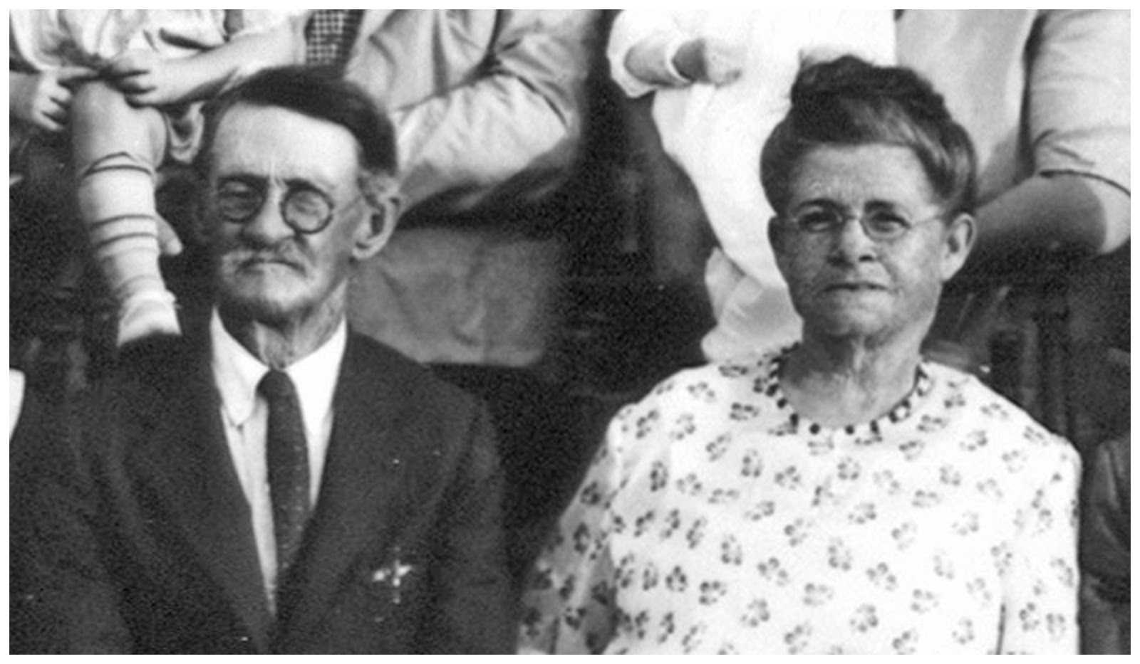 Confessions of a Canine Couch Potato: Saying Goodbye to Aunt/Cousin Hazel