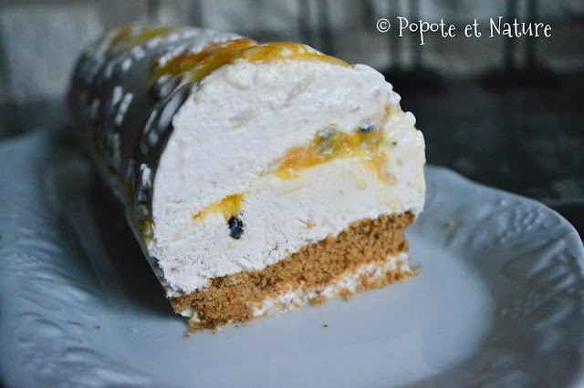 Popote et Nature: Bûche glacée exotique aux fruits frais pour les fêtes