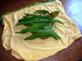 PENJAGAAN SELEPAS BERSALIN ATAU BERPANTANG SECARA TRADISIONAL - Bonda ...