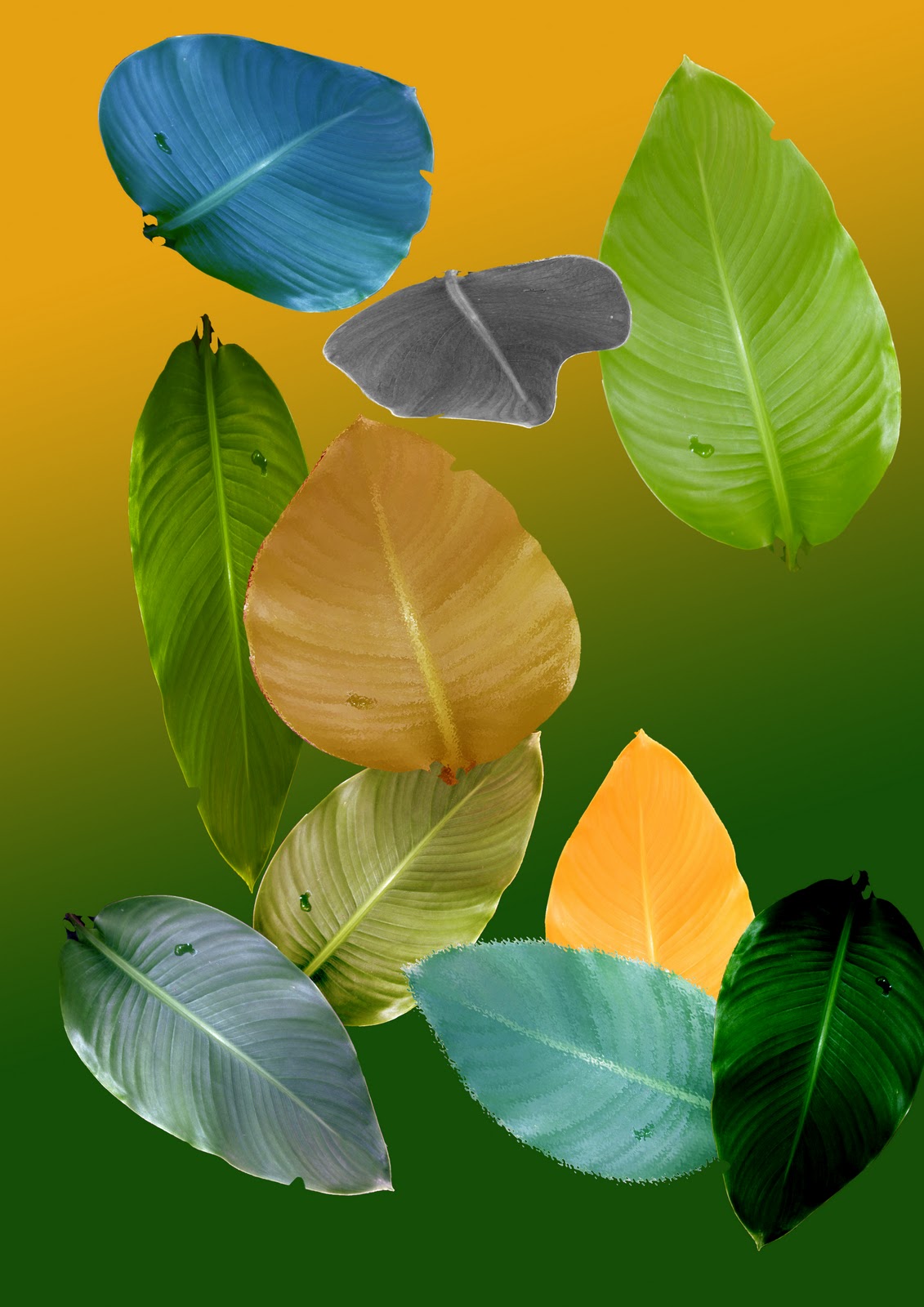 Art/Design/DT in EDUCATION by Mauro Brooks: OBSERVATIONAL DRAWING ...