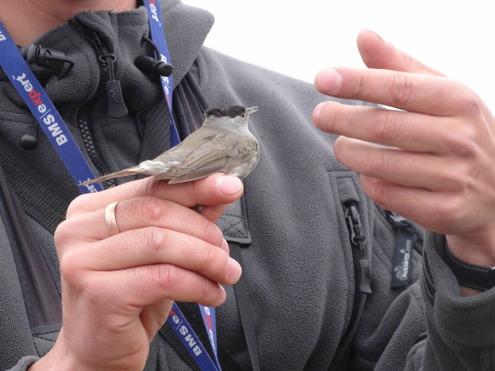 A Day Trip | Rambynas - Rusnė - Mingė - Ventė Cape - The Nerdy Me