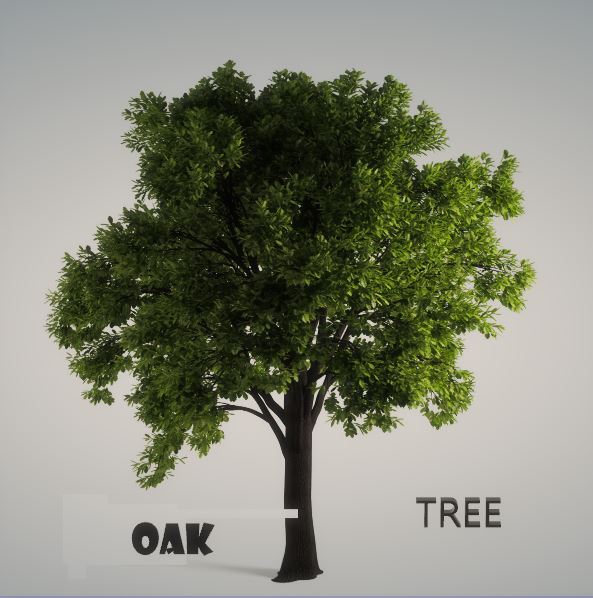 History of Java Programming Languages