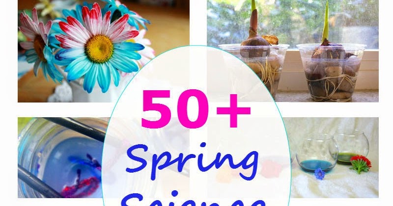 50+ Spring Science Experiments and Activities | Preschool Powol Packets