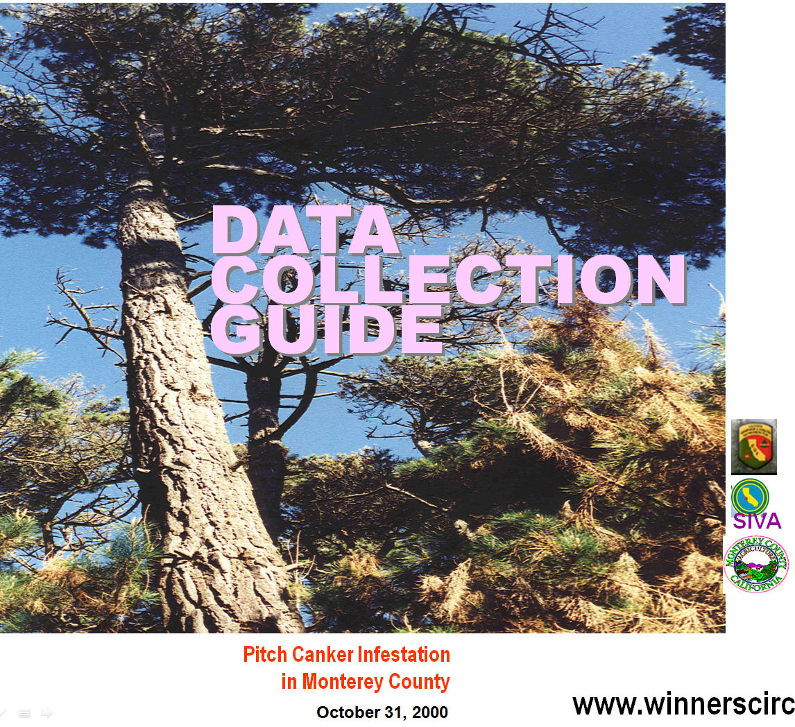 Pitch Canker Infestation of Monterey Pines in Monterey Peninsula, CA: 2012