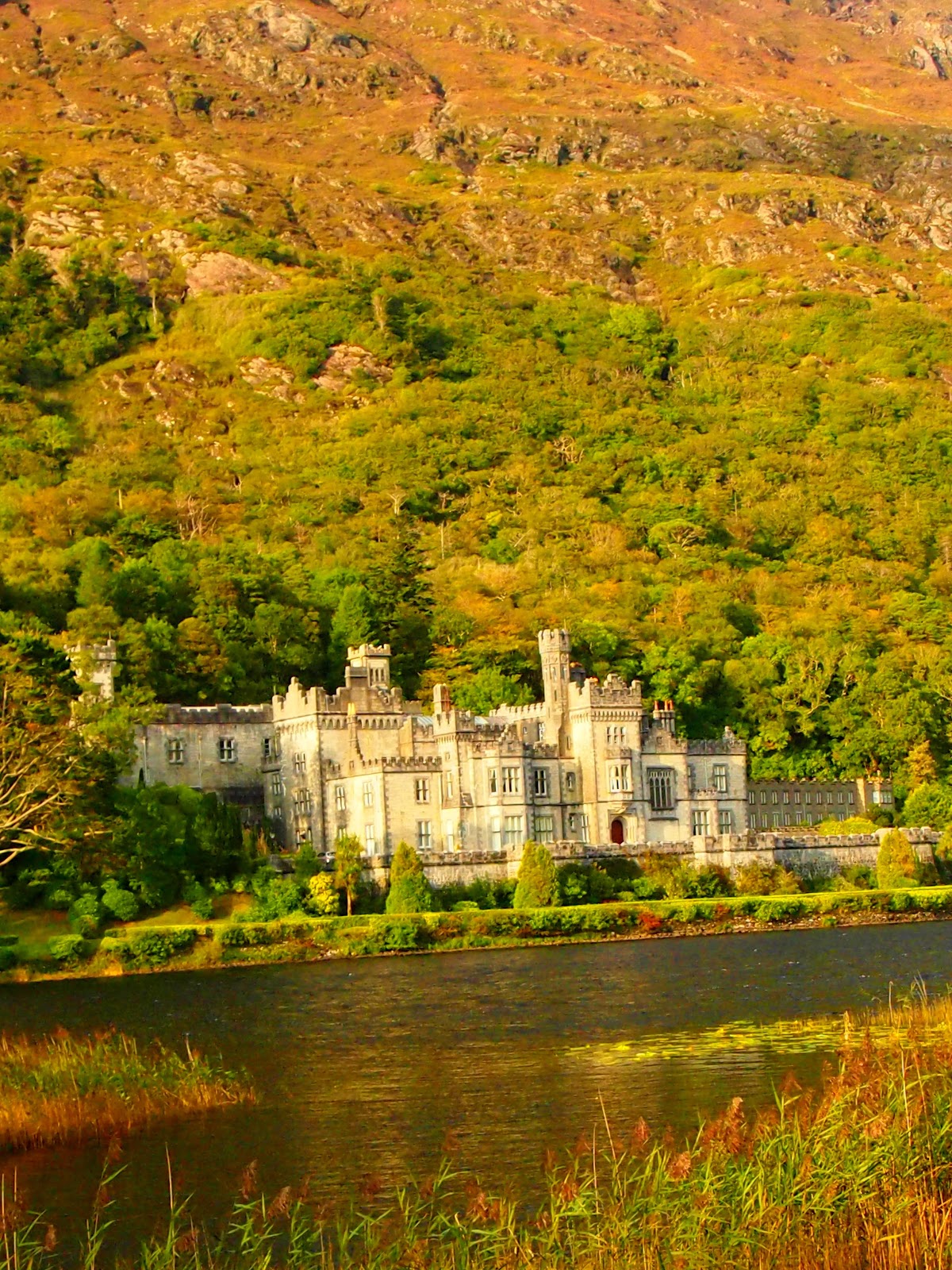 The Irish Today: アイルランド の秋開演~ Discover Ireland Autumn /Lafcadio Hearn ...