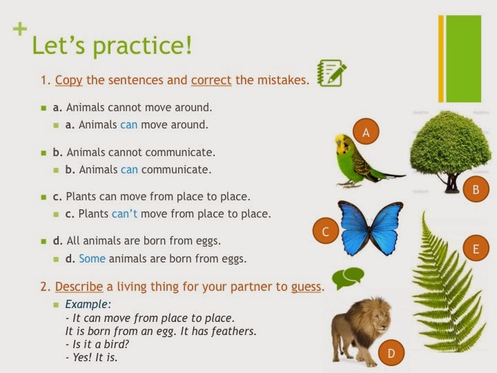 Tic Tac Science: Year 3. Unit 3. Living things: Animals and plants