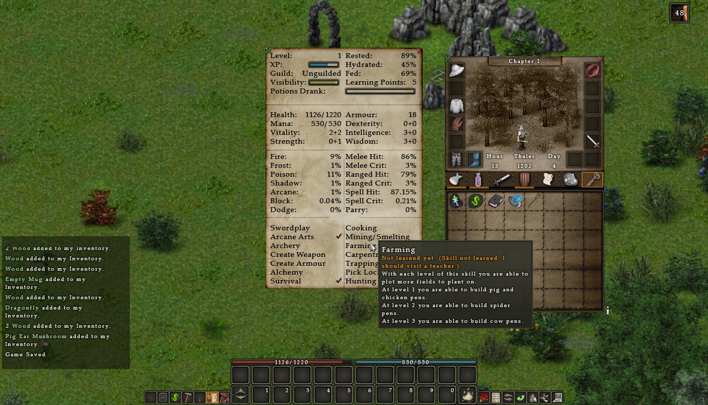 CRPG Revisiting old classics: Balrum - The first ten hours