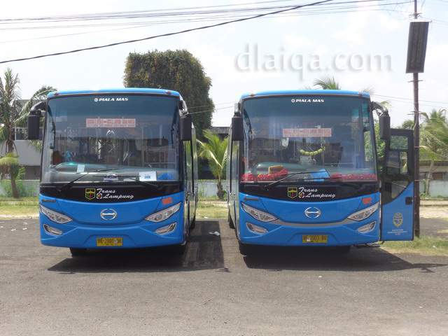 d'Laiqa Arena: Bus Trans Lampung: Bandara Raden Inten - Graha Wangsa