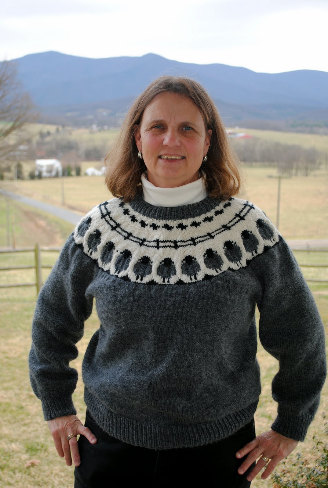 Knit One, Raised 4: Sheep Sweater