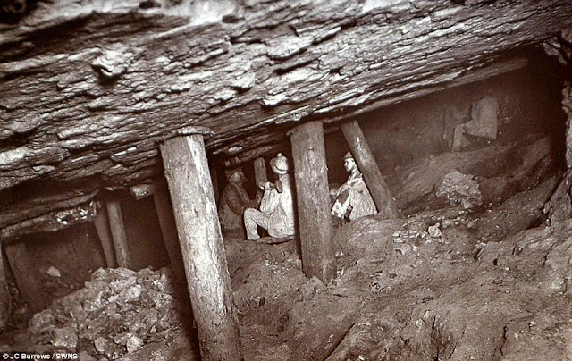 Delmar Historical And Art Society: Mine Props