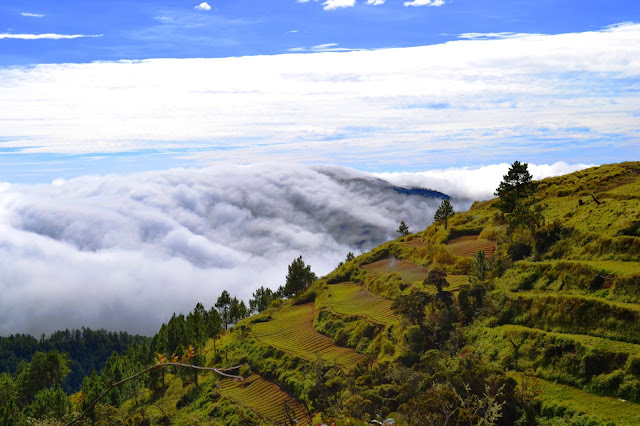 Hiking Mt. Pulag (Ambangeg Trail)