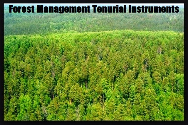Thoughts to Promote Positive Action...: Forest Management Tenurial ...