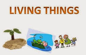 Séneca Bilingual Blog: Vocabulary unit 1.Living things