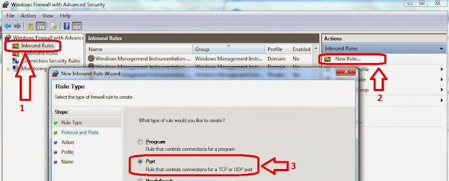 NAV 2013 Web Client Access on Local Area Network From Different Machine.