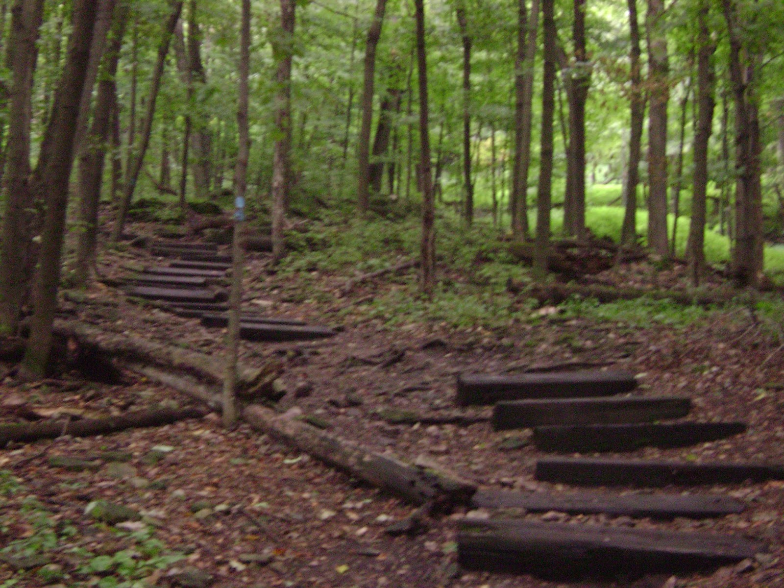 Hiking Adventures: High Cliff State Park