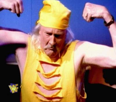 Retro Oasis: A Taste of the New Generation: Boyhood Dreams: WWF Monday ...