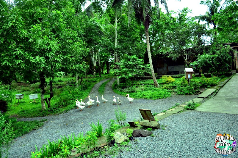 Rammmpa!: Ilog Maria and the Wonders it Offers