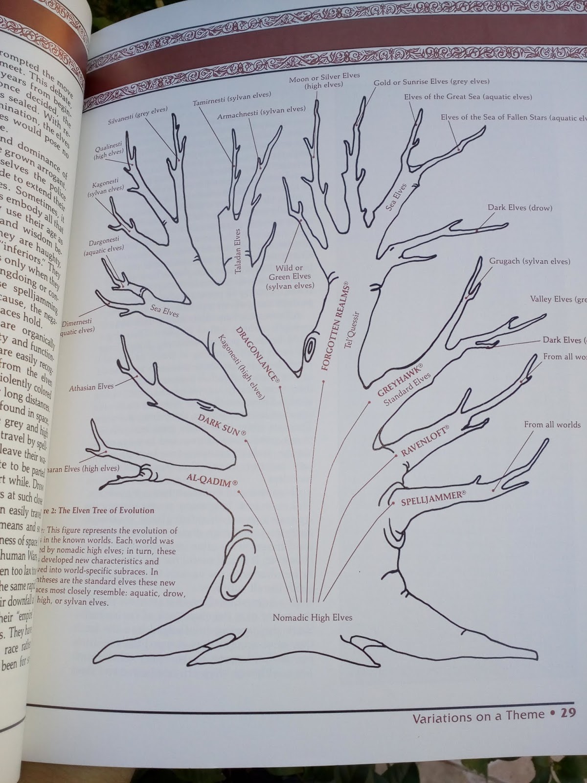 Tomos de Sabedoria: Resenha: The Complete Book of elves