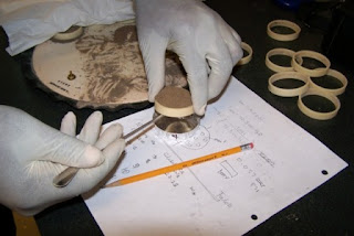 ABE Water Fountain: Richards pressure plate experiment: developing soil ...