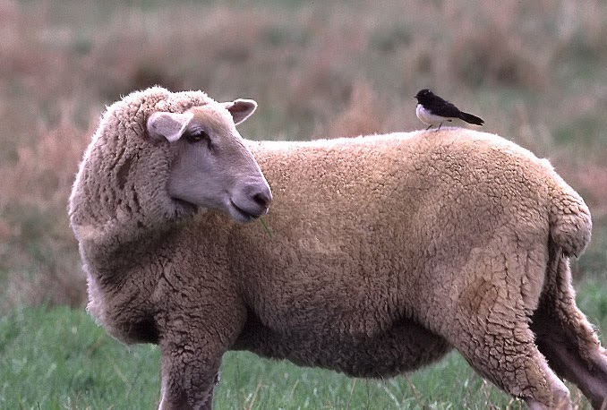 Kays Kids: Some times Granny gets forgetful.