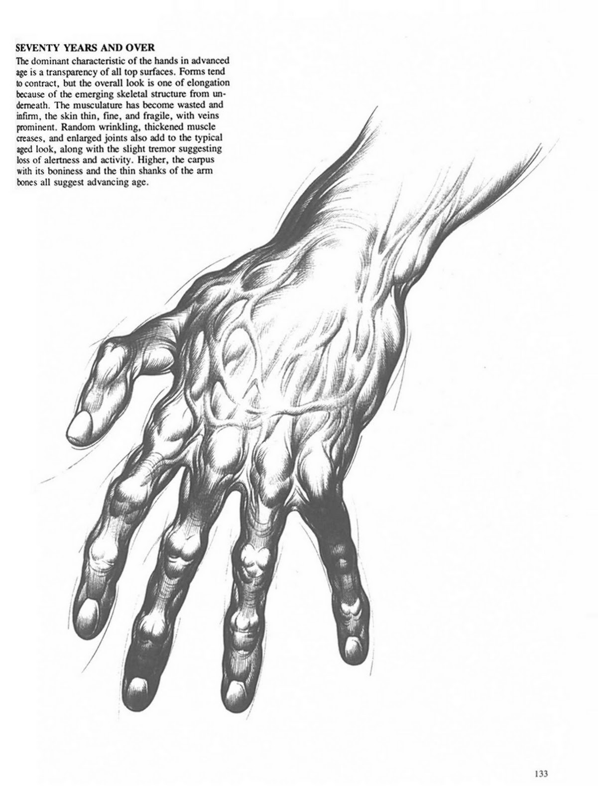 Görsel Sanatlar Deposu / Fine Arts Archive: Drawing Dynamic Hands-Burne ...