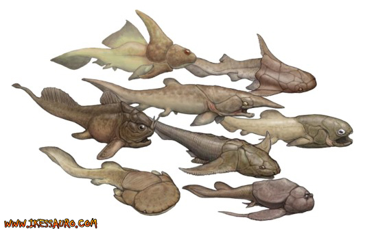 Dunkleosteus | Ikessauro