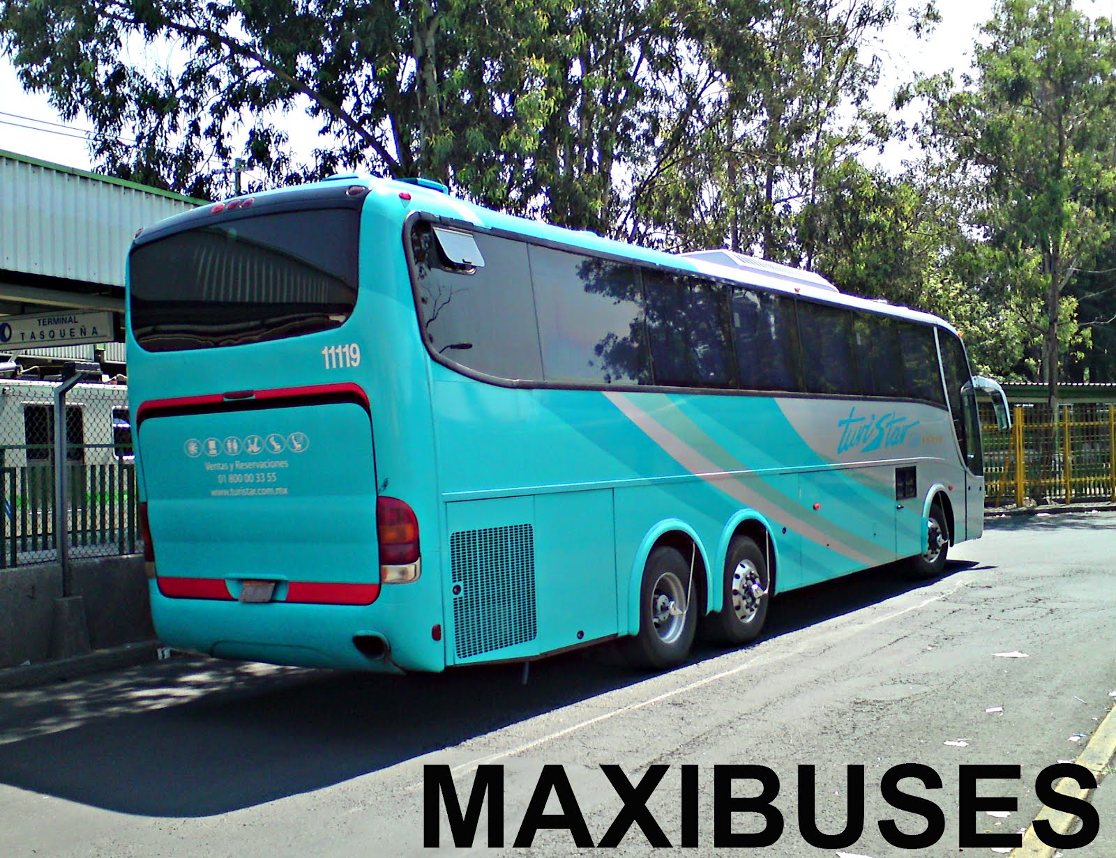 MAXIBUSES: TURISTAR LUJO