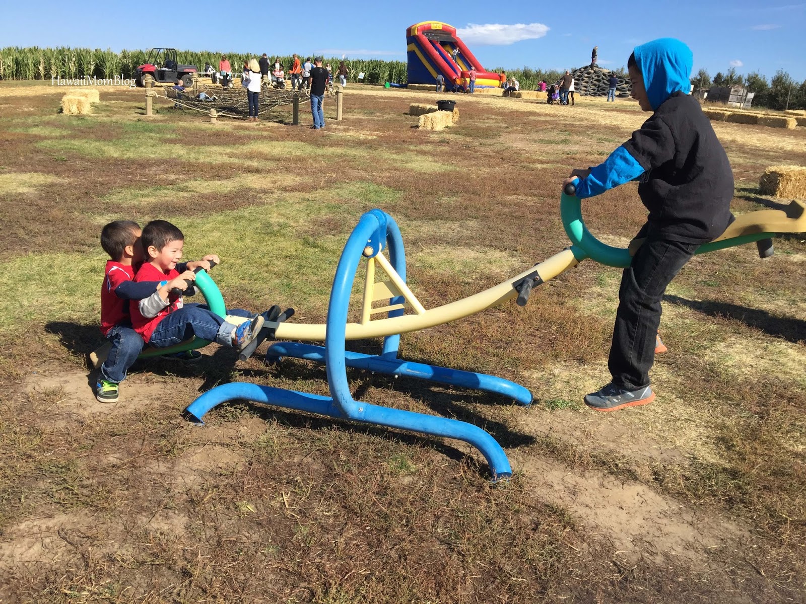 Hawaii Mom Blog: Visit Spokane: Green Bluff Growers Apple Festival