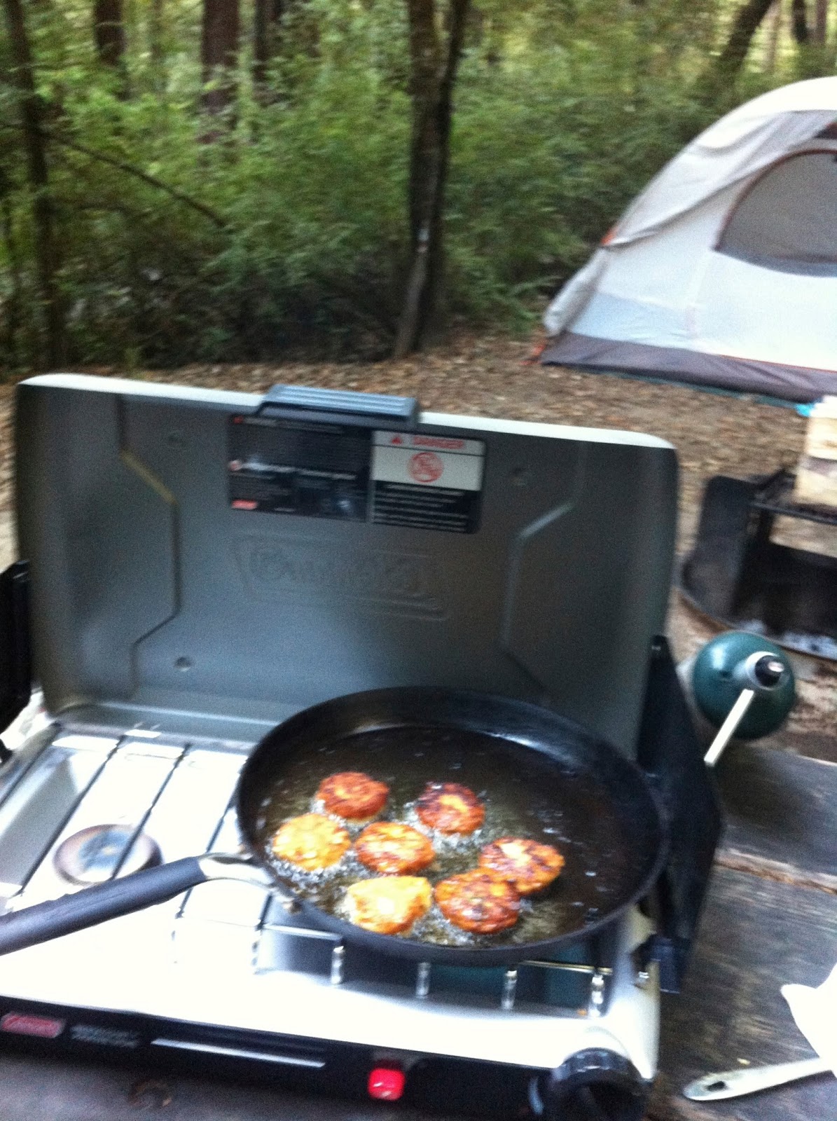 Cheenachatti: The Great Outdoors & Parippu Vada (Lentil Cakes)