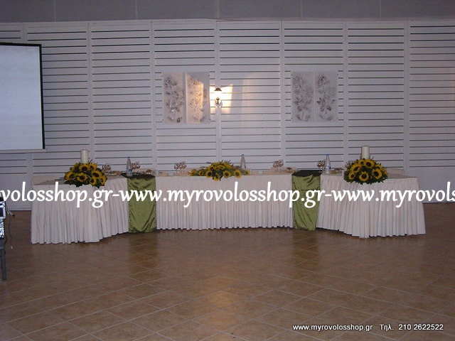 ΓΑΜΟΣ ΚΤΗΜΑ ΖΟΛΩΤΑ, ΗΛΙΟΤΡΟΠΙΑ, ΣΟΛΙΣΜΟΣ ΜΕ ΗΛΙΟΥΣ, ΒΑΣΕΙΣ ΞΥΛΙΝΕΣ ...